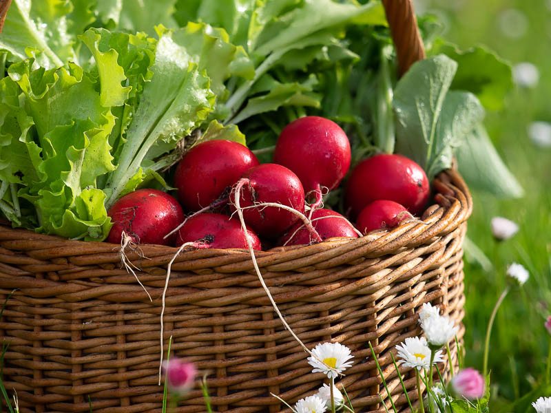 Redisi-Garšīgā Latvija