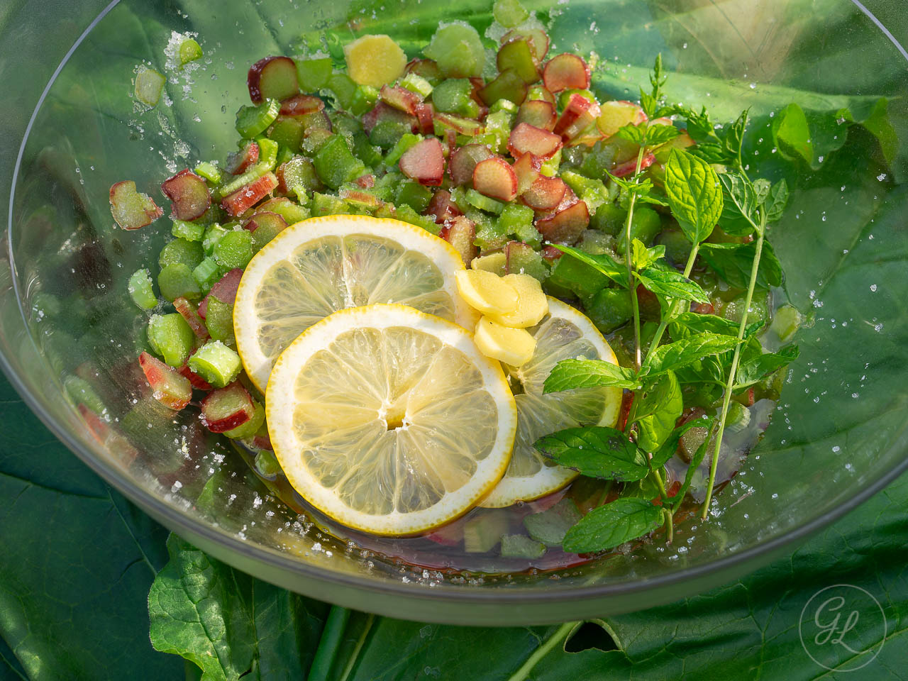 Rabarberi_VO_6080056-Garšīgā Latvija